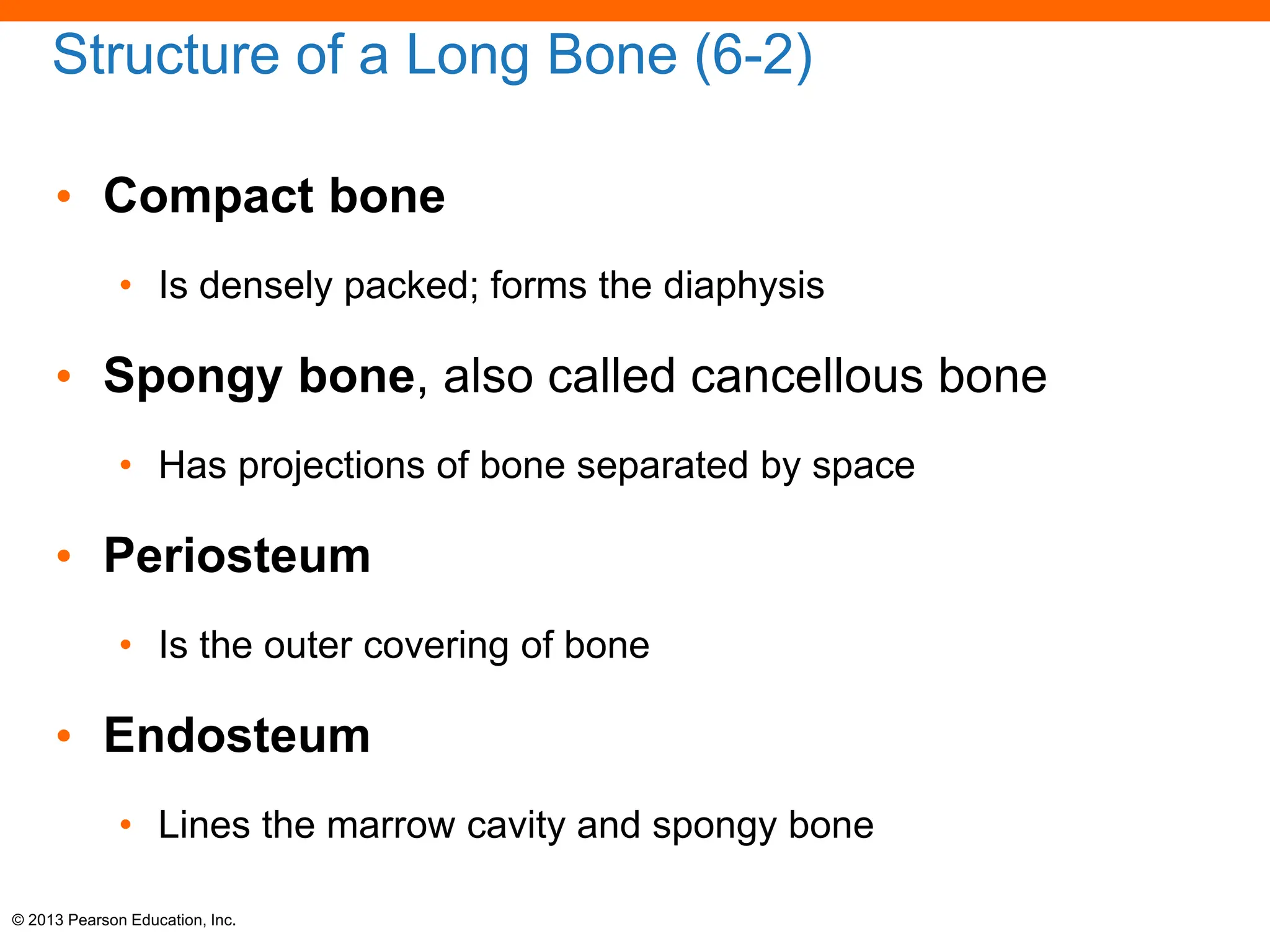 Skeletal System POWERPOINT LECTURE 5-6 Lesson | PDF