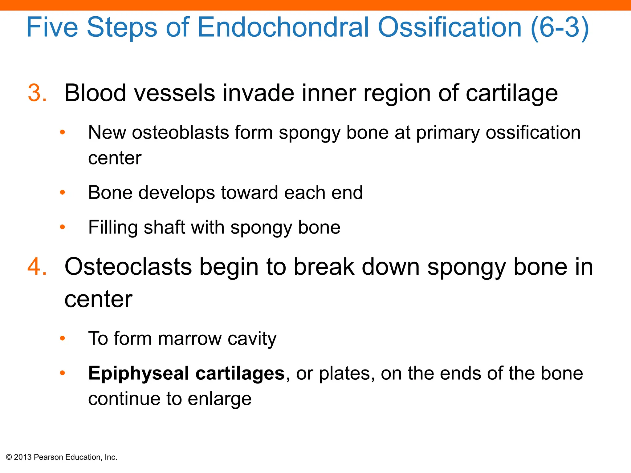 Skeletal System POWERPOINT LECTURE 5-6 Lesson | PDF
