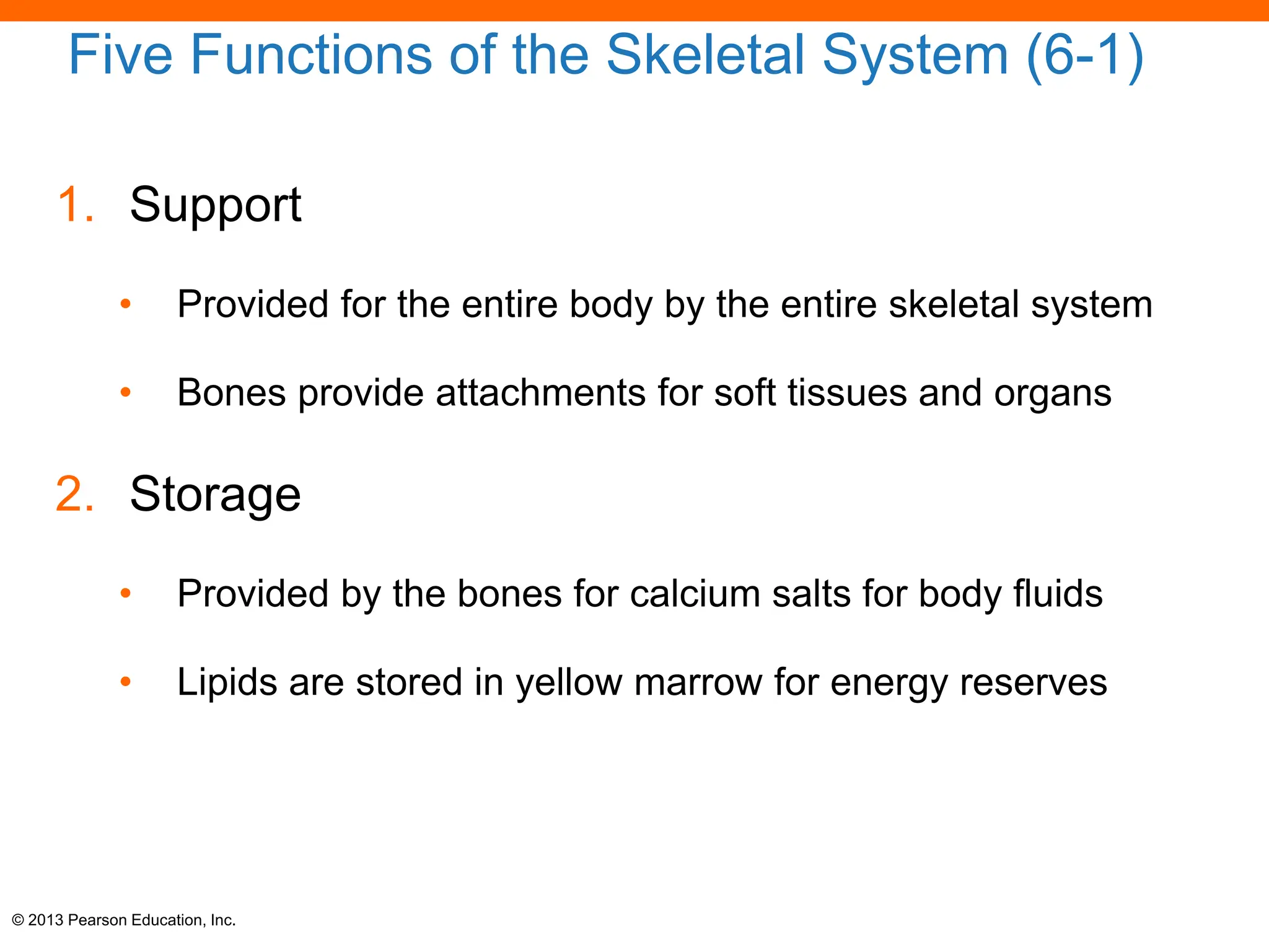 Skeletal System POWERPOINT LECTURE 5-6 Lesson | PDF