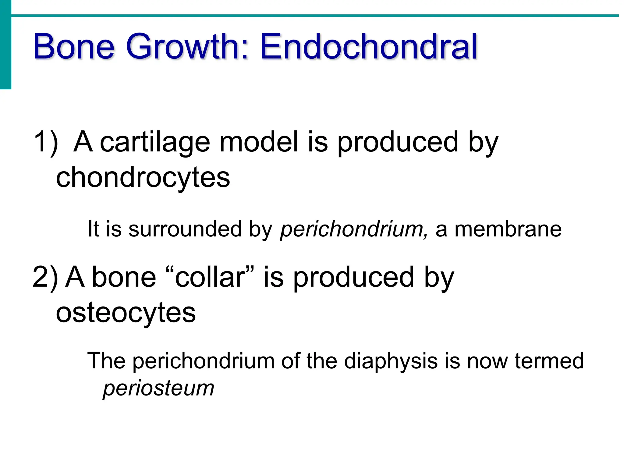 introductory to anatomy of the Skeletal system.ppt