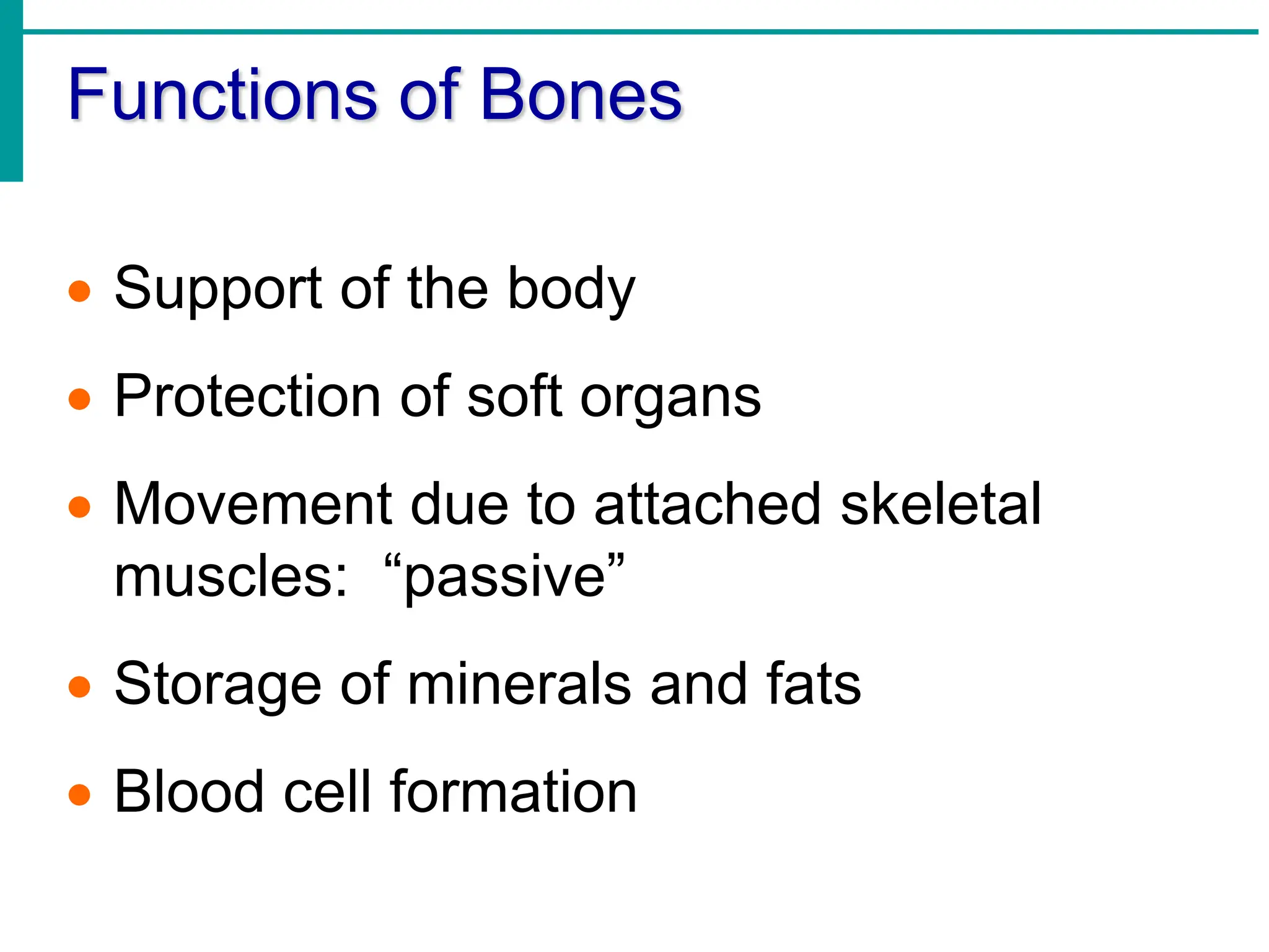 introductory to anatomy of the Skeletal system.ppt