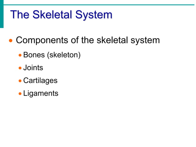 introductory to anatomy of the Skeletal system.ppt