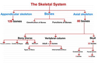skeleton System.pdf (skeleton system wow) | PDF