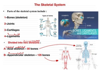skeleton System.pdf (skeleton system wow) | PDF