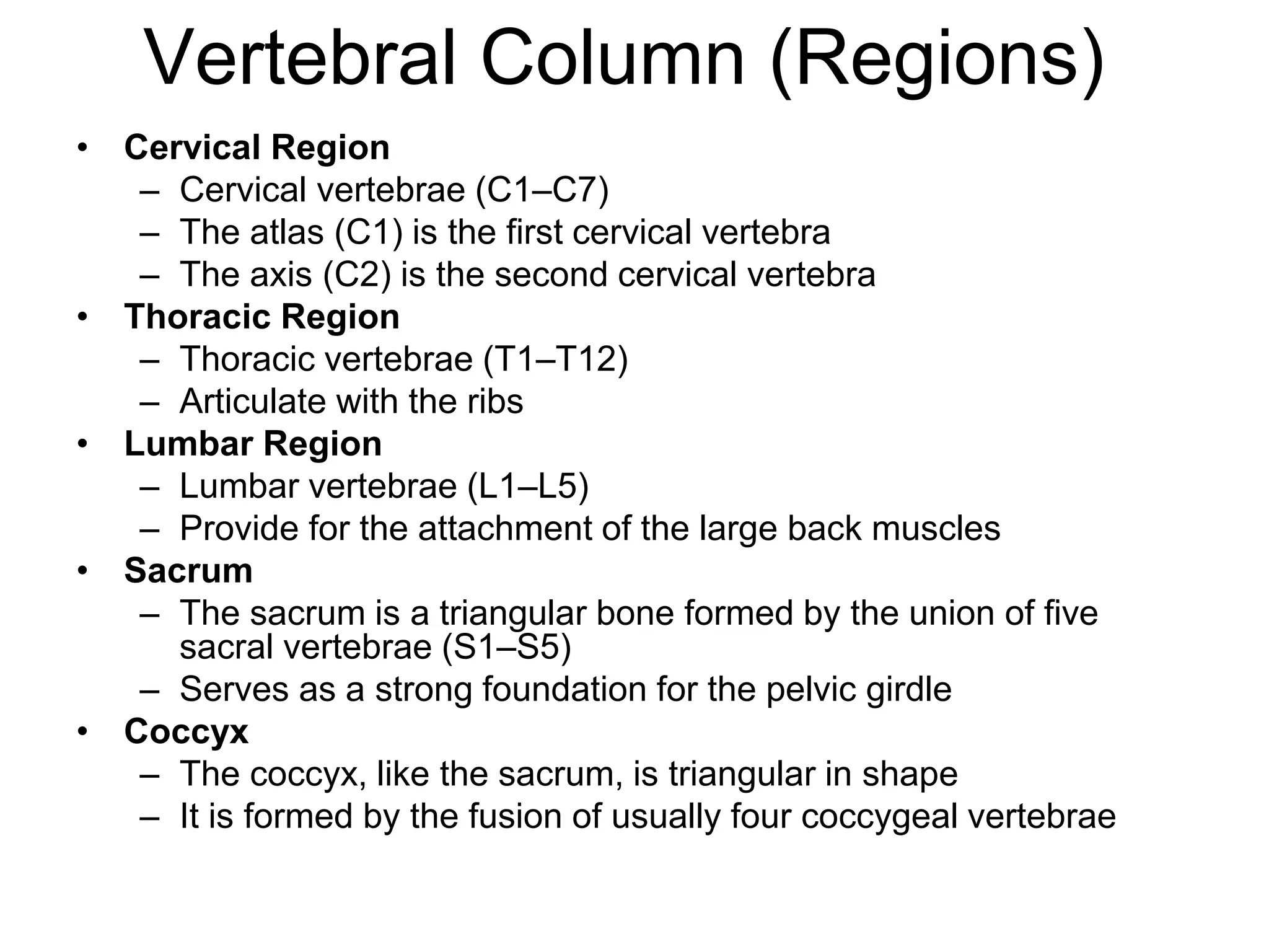 Skeletal System presentation for college.pdf | Death, Injury, or Military Conflict | Sensitive ...