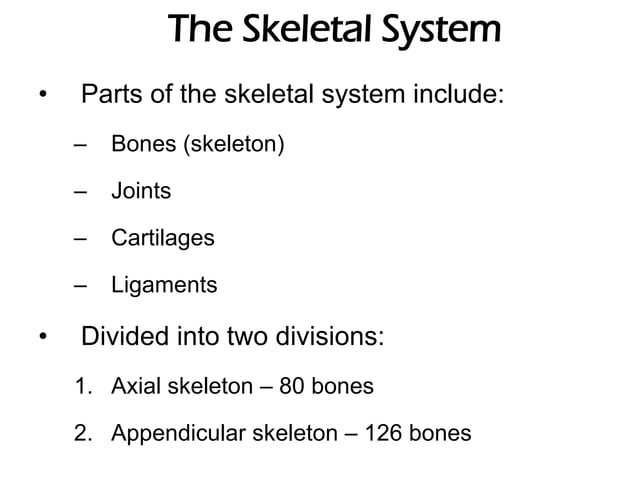 Skeletal System presentation for college.pdf