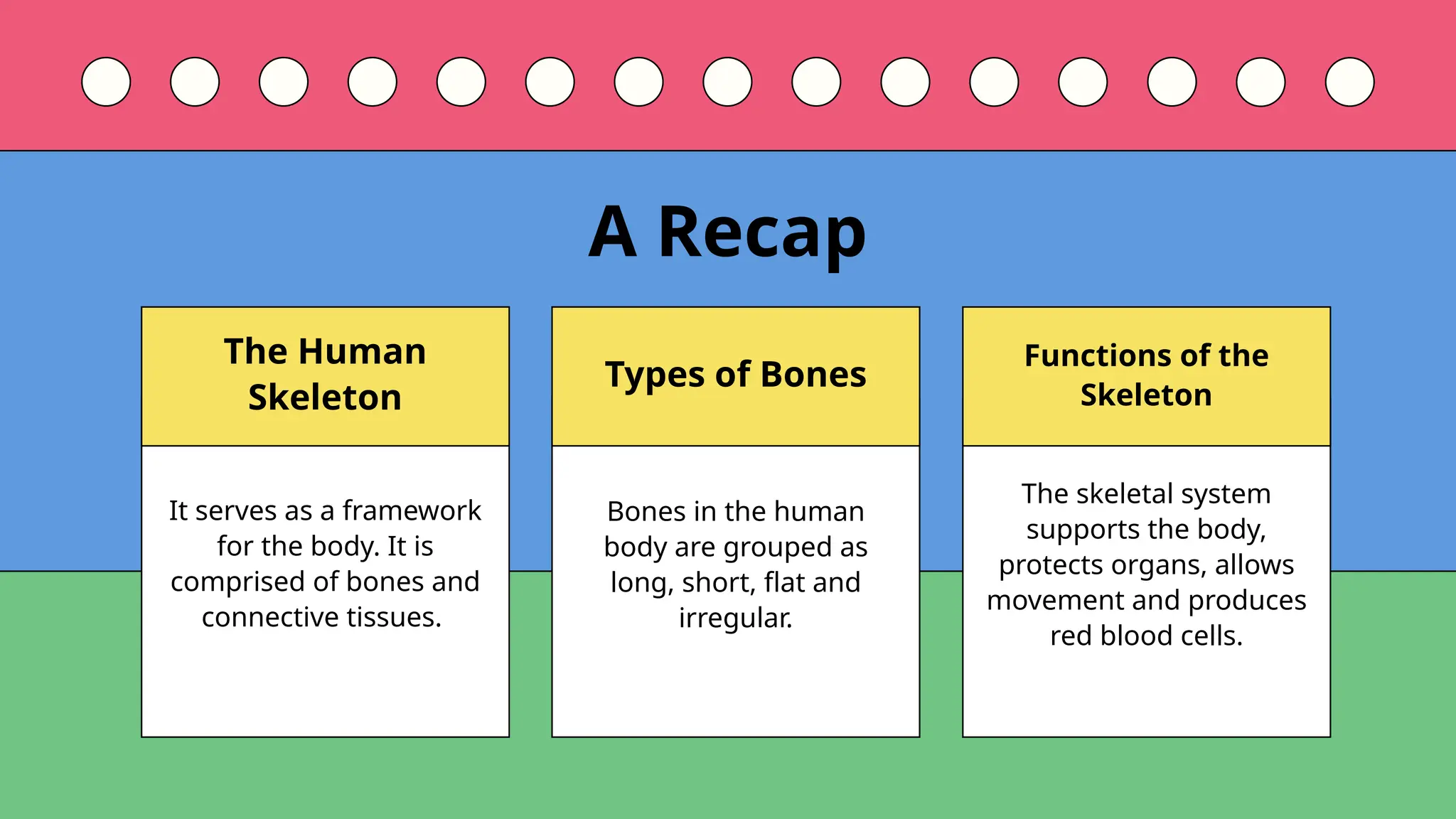 the skeletal system; understanding the framework for the human body.pptx
