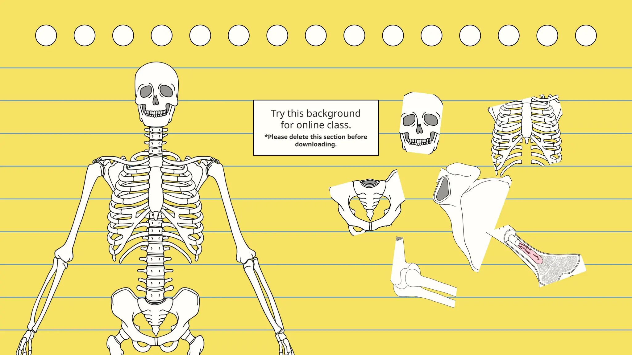 the skeletal system; understanding the framework for the human body.pptx
