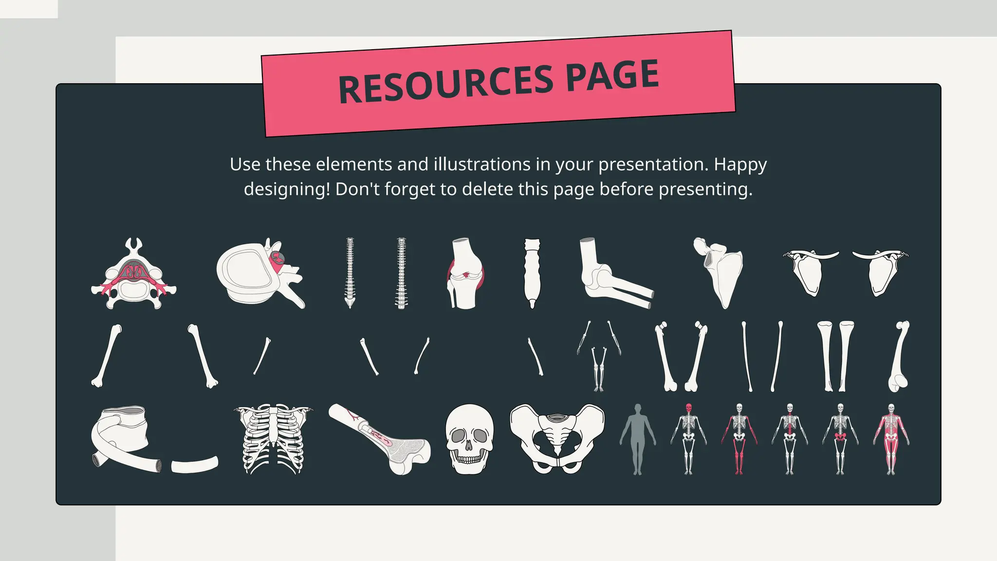 the skeletal system; understanding the framework for the human body.pptx