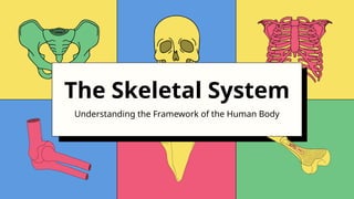 the skeletal system; understanding the framework for the human body.pptx