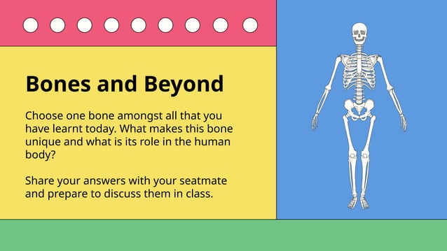 the skeletal system; understanding the framework for the human body.pptx