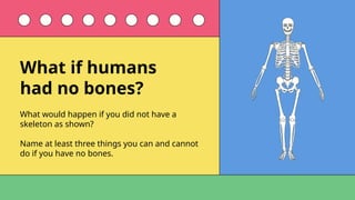 the skeletal system; understanding the framework for the human body.pptx