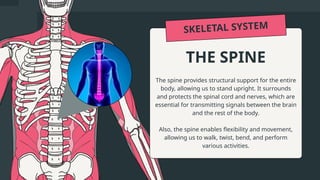 the skeletal system; understanding the framework for the human body.pptx