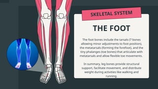 the skeletal system; understanding the framework for the human body.pptx