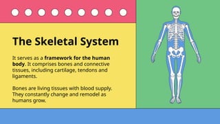 the skeletal system; understanding the framework for the human body.pptx