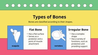 the skeletal system; understanding the framework for the human body.pptx