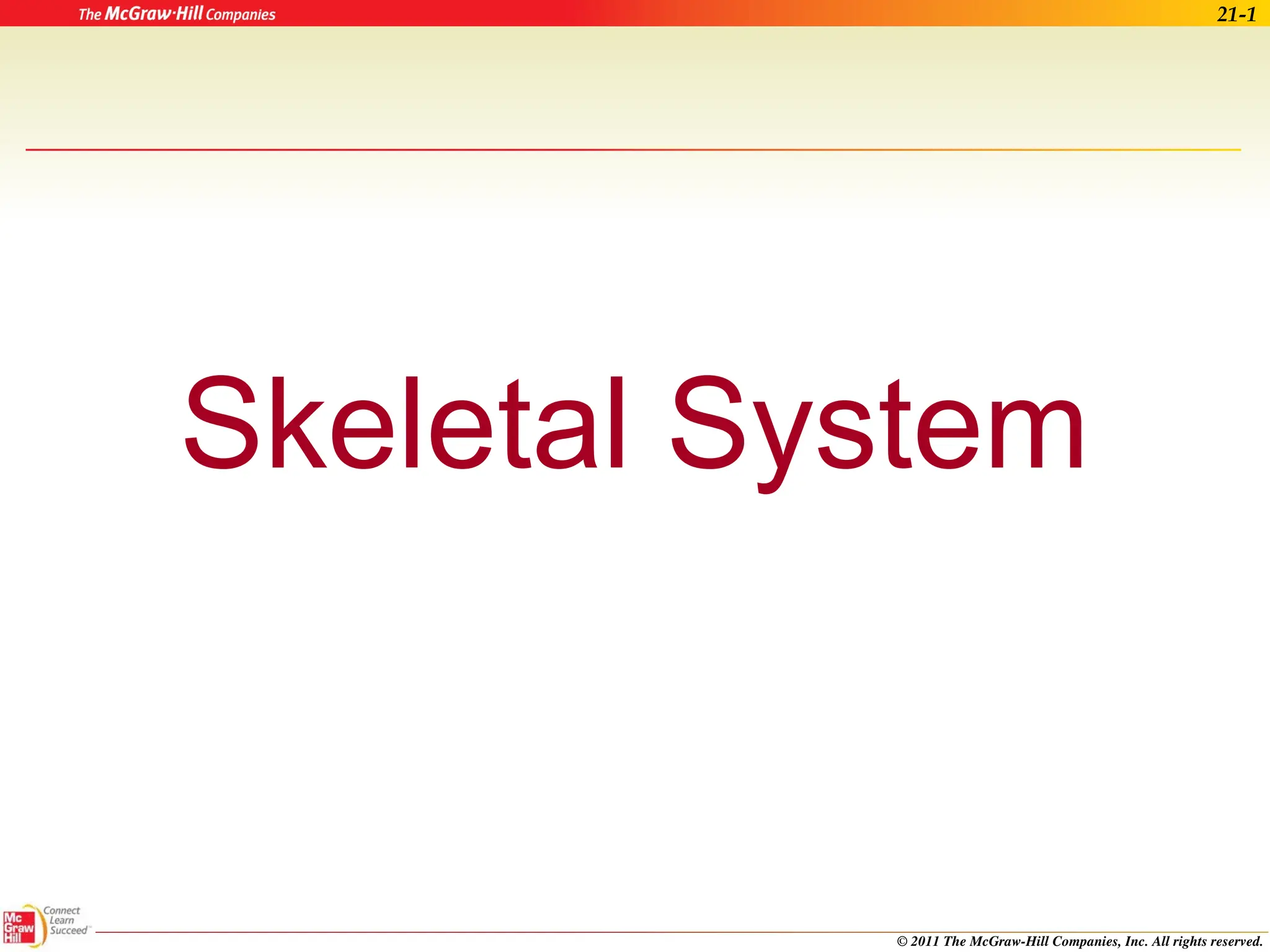 Skeletal System.ppt Skeletal System in Our Body | PPT