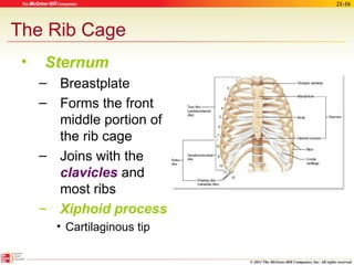 Skeletal System.ppt Skeletal System in Our Body | PPT