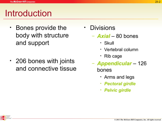 Skeletal System.ppt Skeletal System in Our Body | PPT