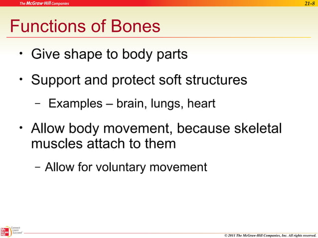 Skeletal System.ppt Skeletal System in Our Body | PPT
