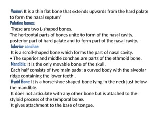 B Pharm First Year , Human Anatomy and Physiology UNIT-II Skeletal ...
