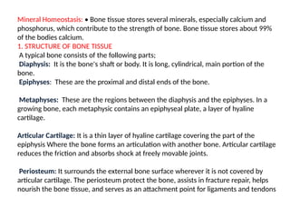 B Pharm First Year , Human Anatomy and Physiology UNIT-II Skeletal ...