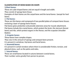 B Pharm First Year , Human Anatomy and Physiology UNIT-II Skeletal ...