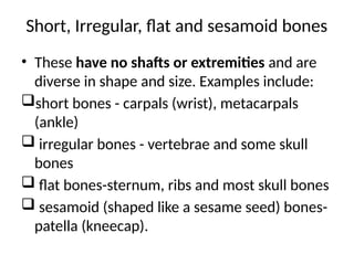 Presentation on Skeletal System nursing ppt | PPTX