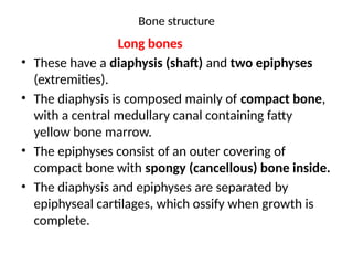 Presentation on Skeletal System nursing ppt | PPTX