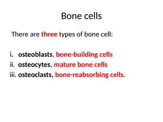 Presentation on Skeletal System nursing ppt | PPTX