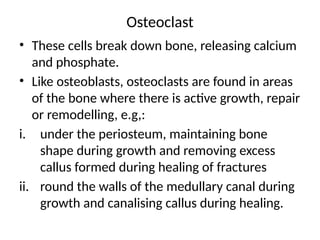 Presentation on Skeletal System nursing ppt | PPTX