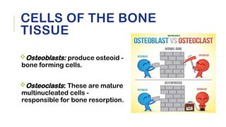 Disorders of bone .pptx