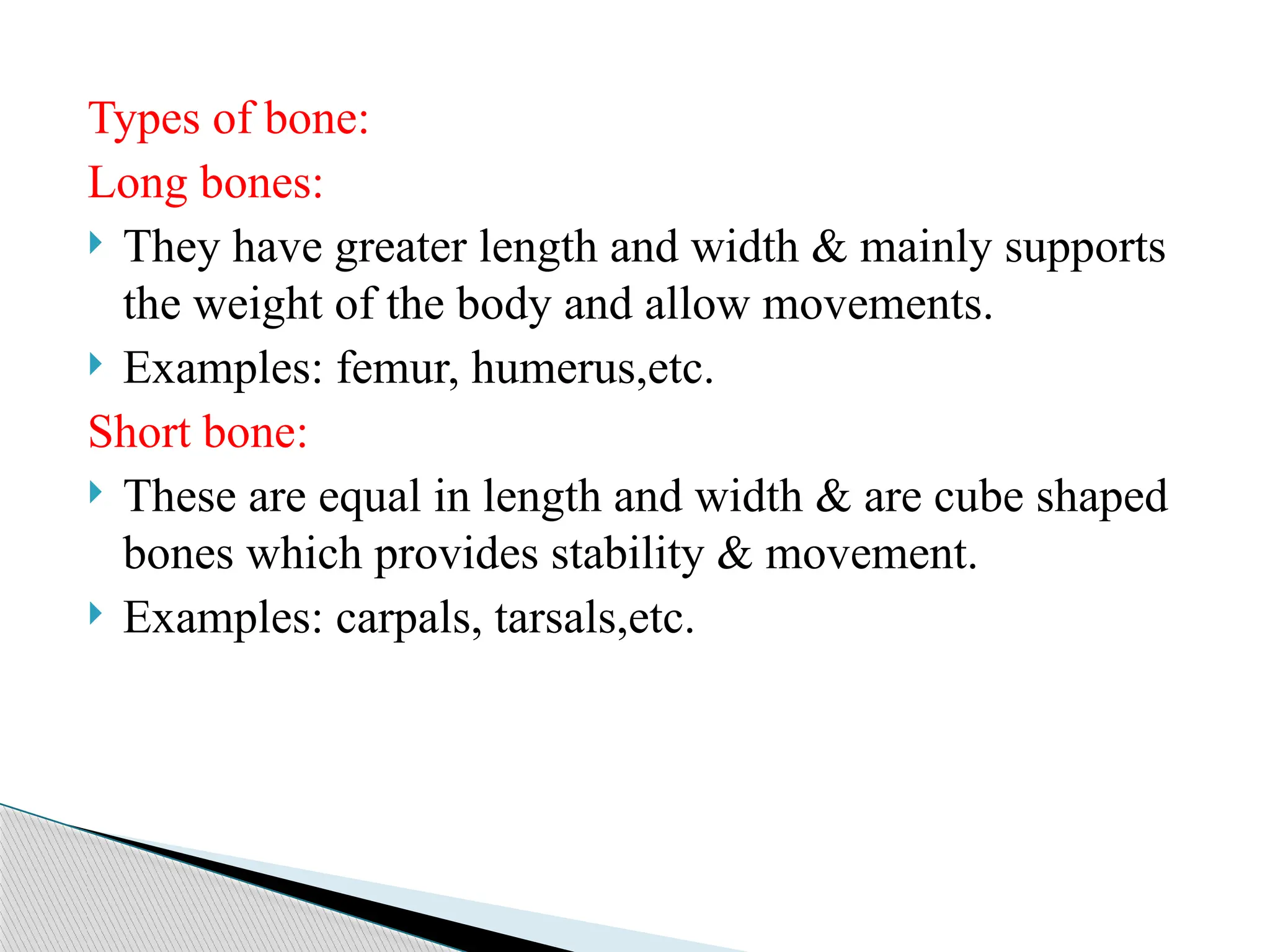 The skeletal system.pptx for B pharmacy and Pharm-D | PPTX