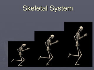 Skeletal System PowerPoint Presentation. | PPT