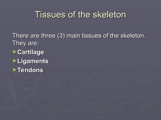 Skeletal System PowerPoint Presentation. | PPT