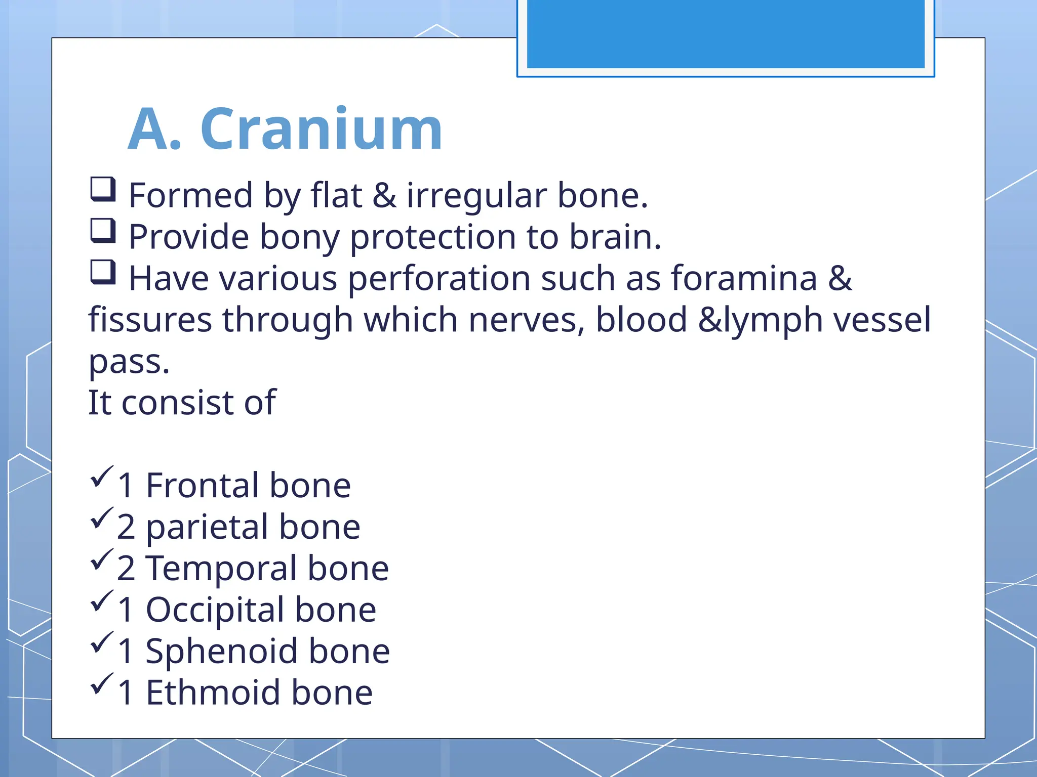 Skeletal system.pptx Part I B.Pharmacy HAP I | PPTX