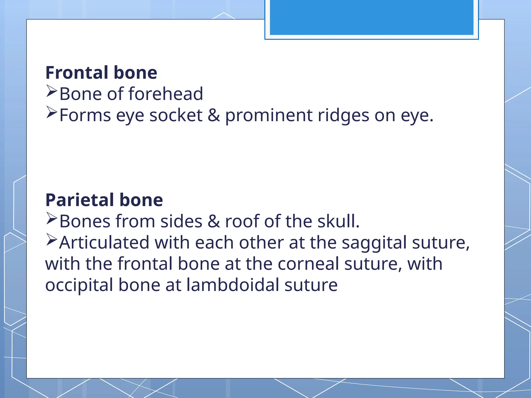 Skeletal system.pptx Part I B.Pharmacy HAP I | PPTX