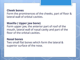 Skeletal system.pptx Part I B.Pharmacy HAP I | PPTX
