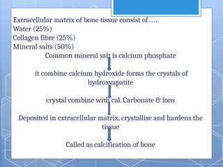 Skeletal system.pptx Part I B.Pharmacy HAP I | PPTX
