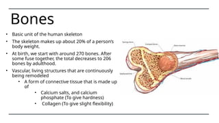 Skeletal System Power Point Anatomy.pptx