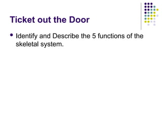 Skeletal System presentation for high school | PPTX