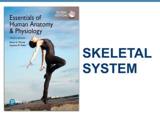 SKELETAL SYSTEM PPT FOR THE BSN 1ST YEAR | PDF