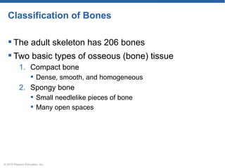 SKELETAL SYSTEM PPT FOR THE BSN 1ST YEAR | PDF