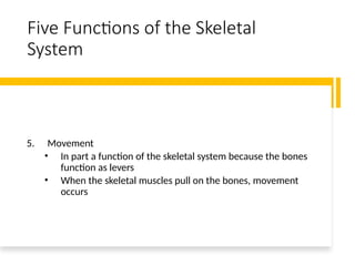Skeletal System-Introduction, Basics, and disorders of Skeletal System ...