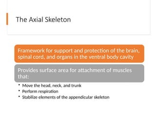 Skeletal System-Introduction, Basics, and disorders of Skeletal System ...