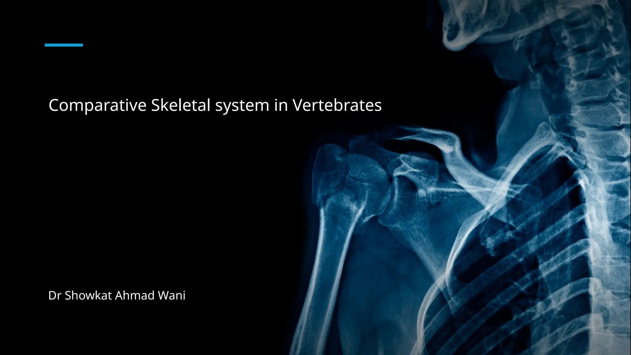 Comparative anatomy of Skeletal system.pptx