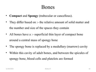 skeletal system introduction and what are the bones found in our body ...