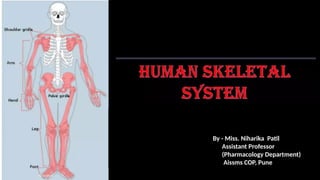 Skeletal system human anatomy and physiology unit 1 | PPTX