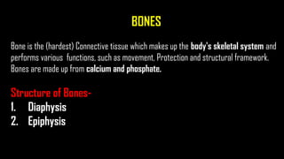 Skeletal system human anatomy and physiology unit 1 | PPTX