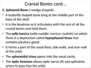 Skeleton system appendicular and axial and | PPTX